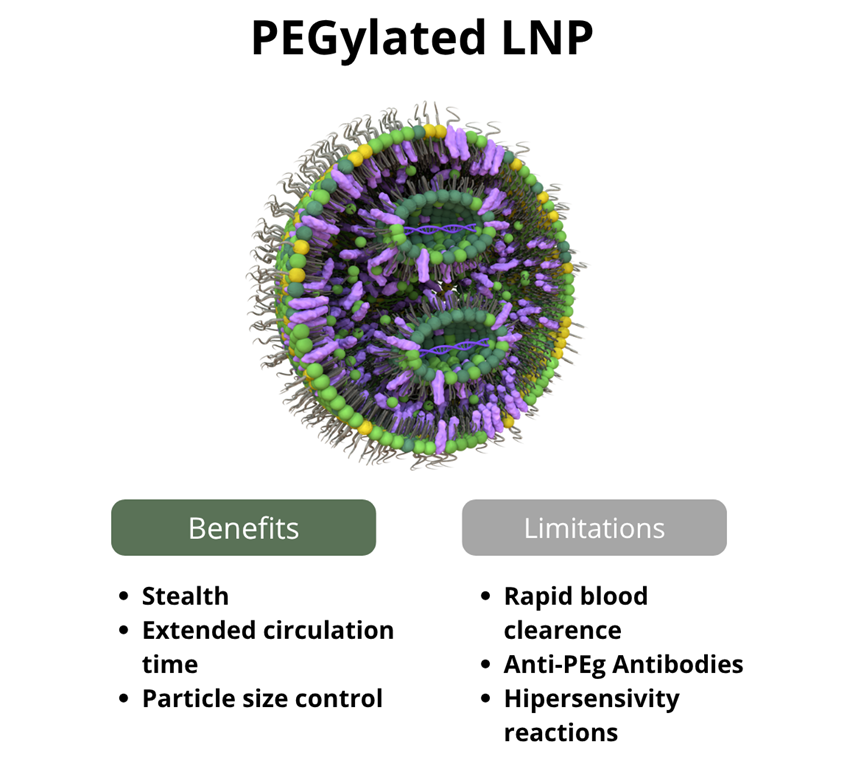PEG Alternatives: Polymers Reshaping Lipid Nanoparticle Drug Delivery