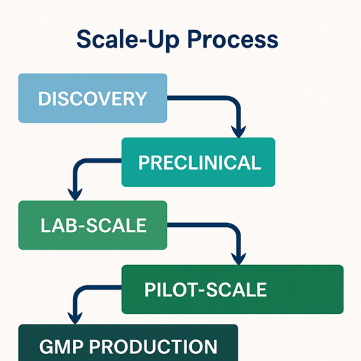 From Lab to Plant: Why Scale-Up Is the Key to Success in Biopharma